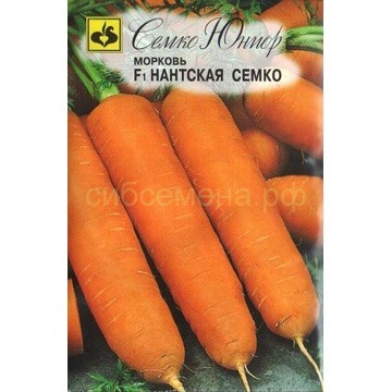 МОРКОВЬ — Семена для Сибири